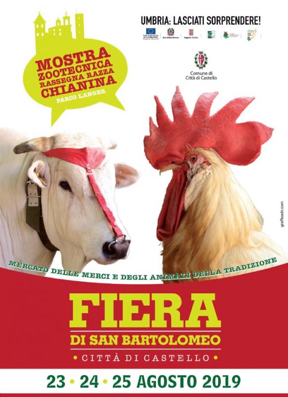 Tradizionale Fiera del Bestiame a Città Di Castello | 2019 | (PG ...