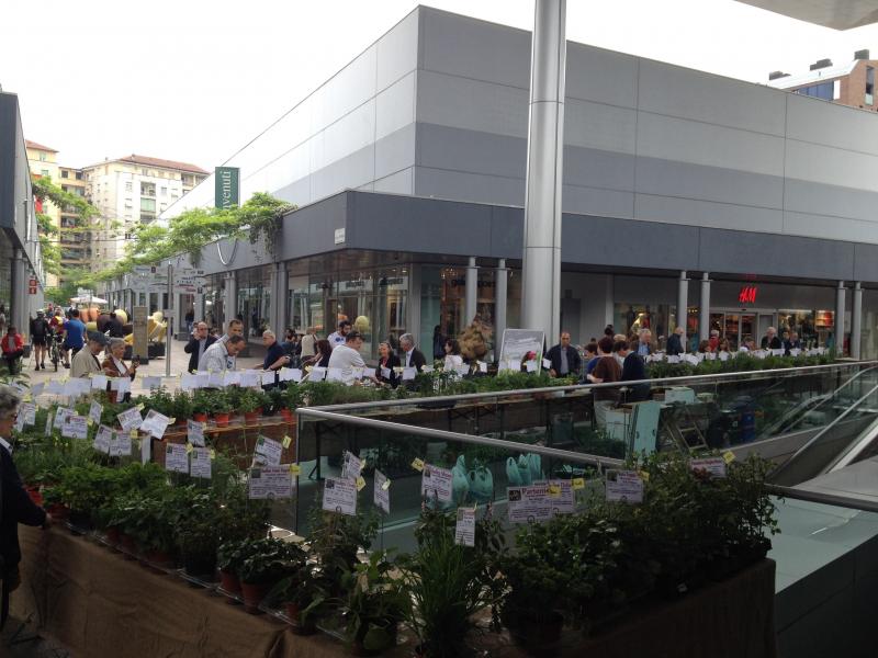 La Mostra Mercato delle erbe aromatiche Piazza Portello a Milano a ...